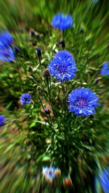 01-08-2025 Добрый день!