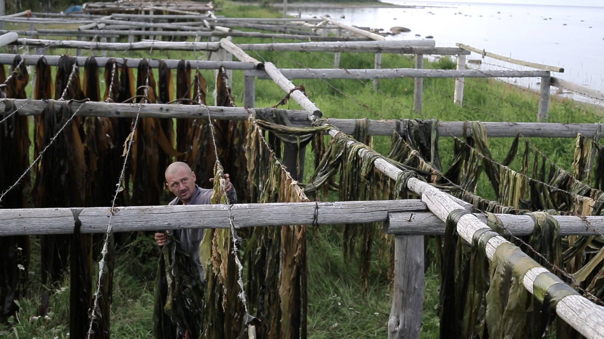 Съёмка и монтаж документального фильма. На Ребалде время остановилось. #видеопродакшн #видеосъемка