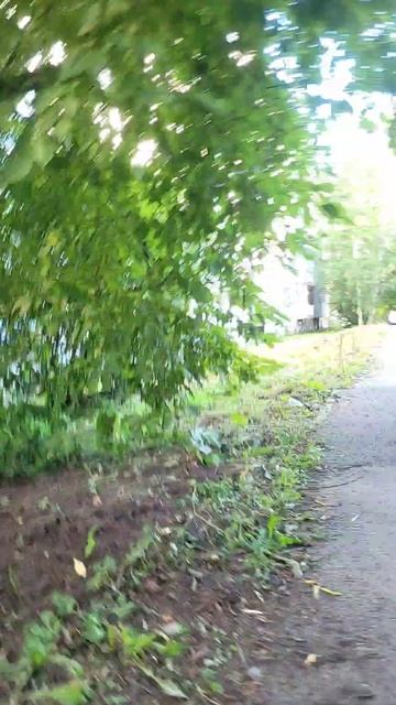 Кто нибудь может объяснить это явление ❓️❓️❓️#неизвестное #непознанное