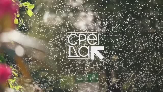 10 минут утренней йоги для начинающих. 2 занятие