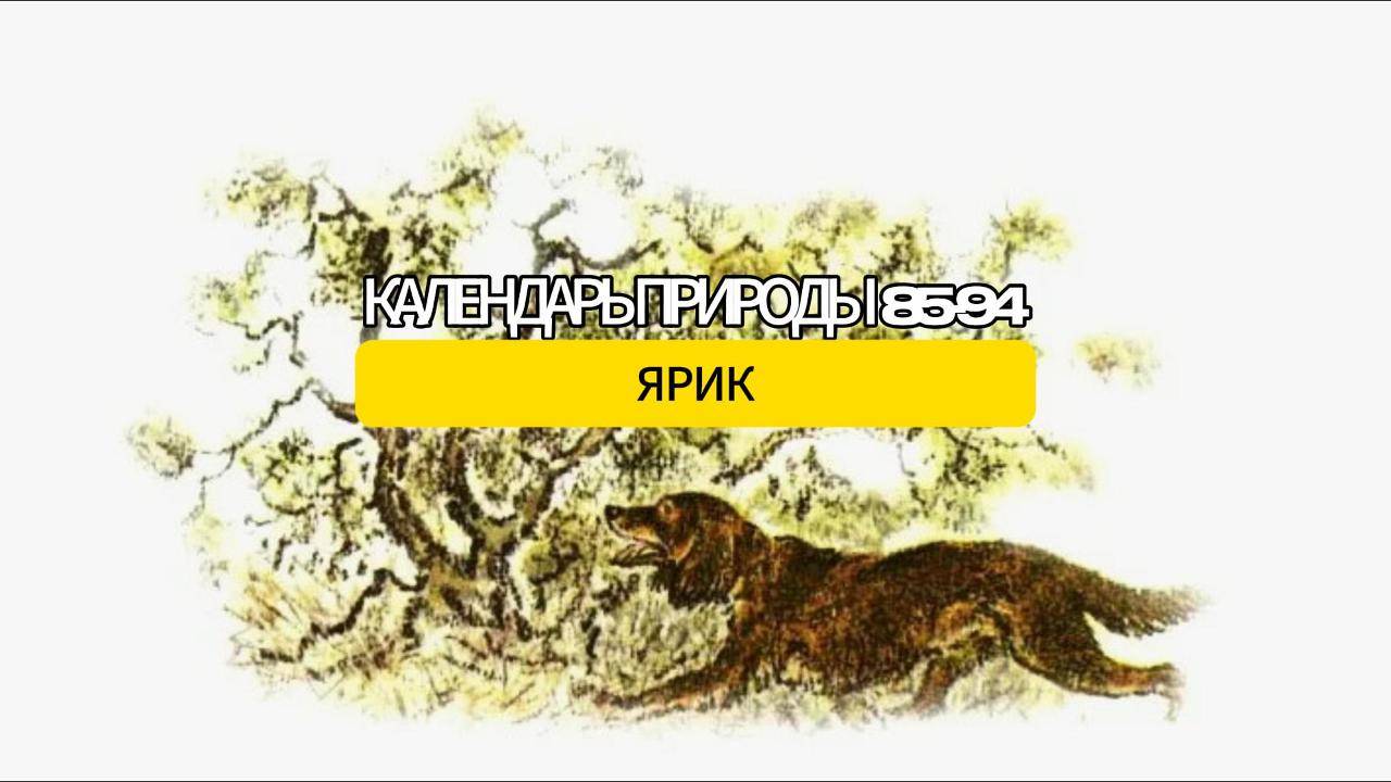 Михаил ПРИШВИН / Календарь природы 85-94 / Аудиокнига / творческая Находка