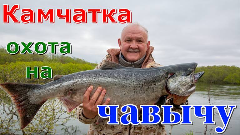 Камчатка. Охота на чавычу 2022