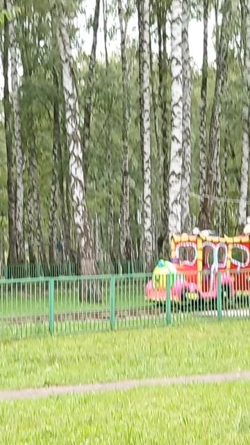 В парке летом