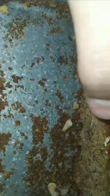 كيكة رائعة ❤❤