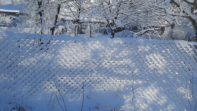 Красиво снег облепил сетку!