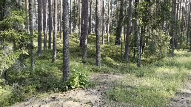 Коневец - остров на Ладоге, куда хочется вернуться, когда мирская жизнь надоест