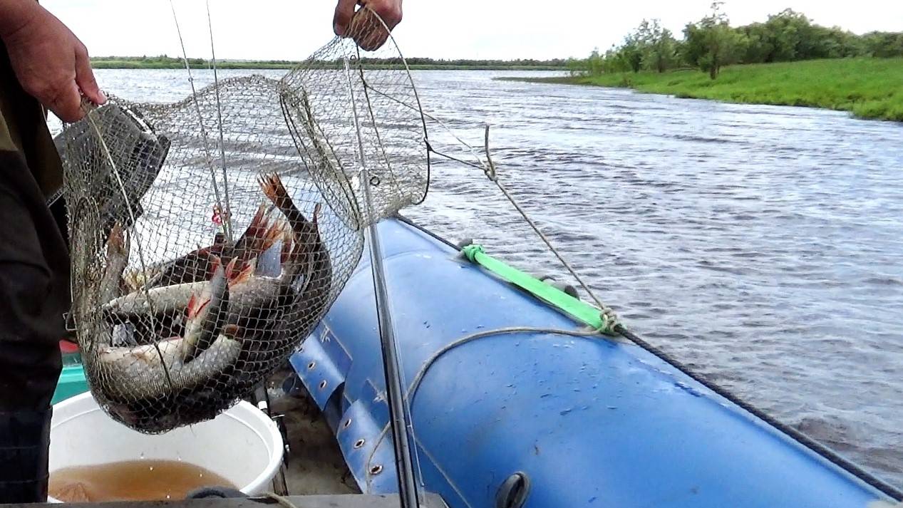 Щука по Конде пошла!