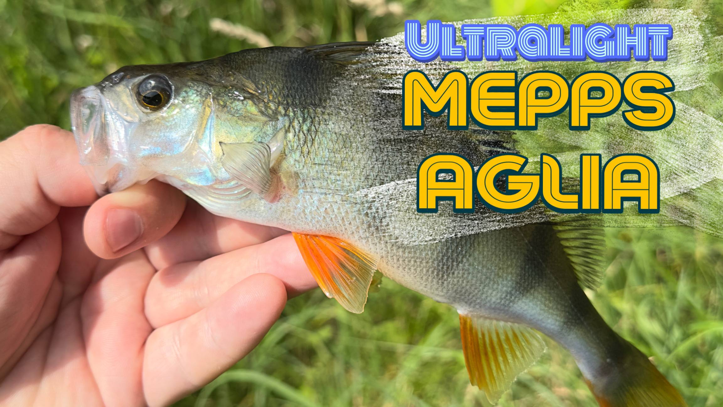 РЫБАЛКА НА MEPPS AGLIA #00