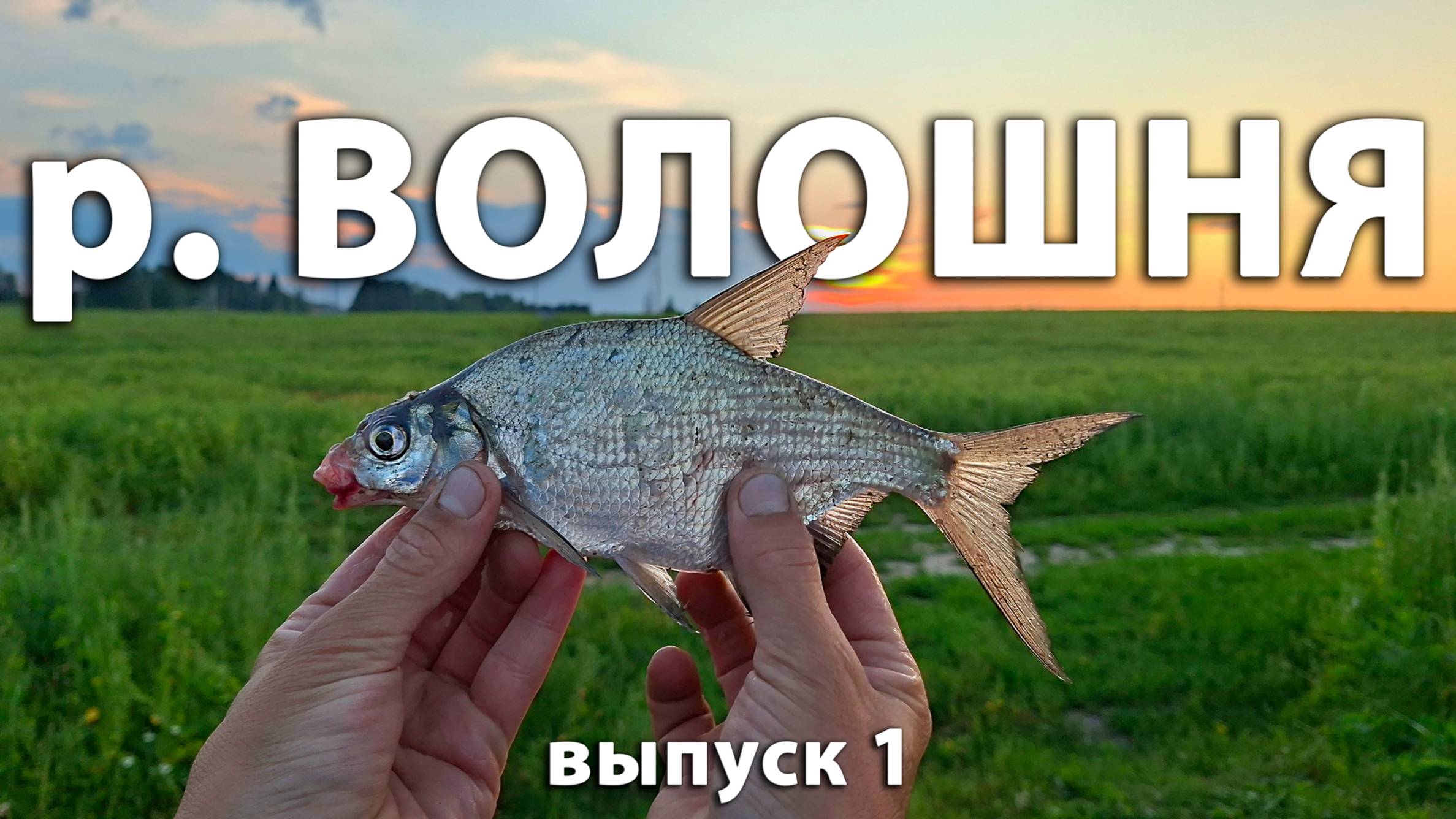 Рыбалка на реке Волошня, Руза. Оснастка на фидер для ловли подлещика и густеры с берега #рыбалка