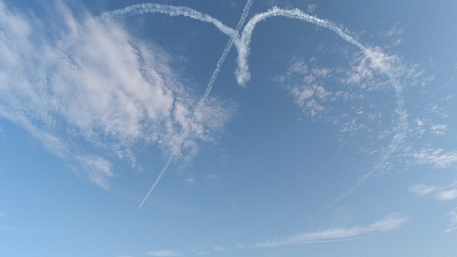 Я выбираю небо 2025: Пилотажная группа "Русь" на L-39 Альбатрос