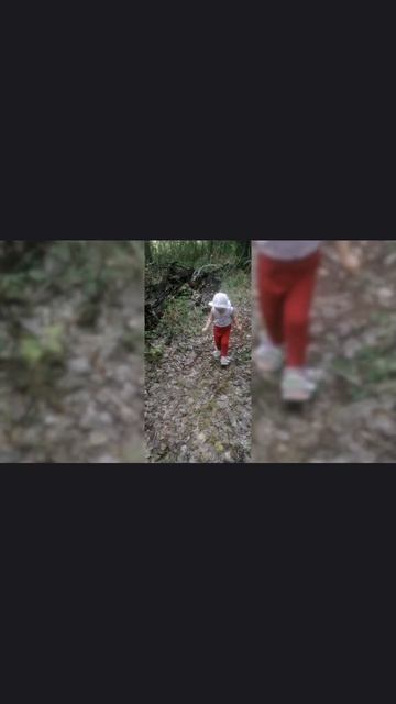 Первый раз в лесу , примерно 1,5 годика было тогда ей, всему удивляться. #дети