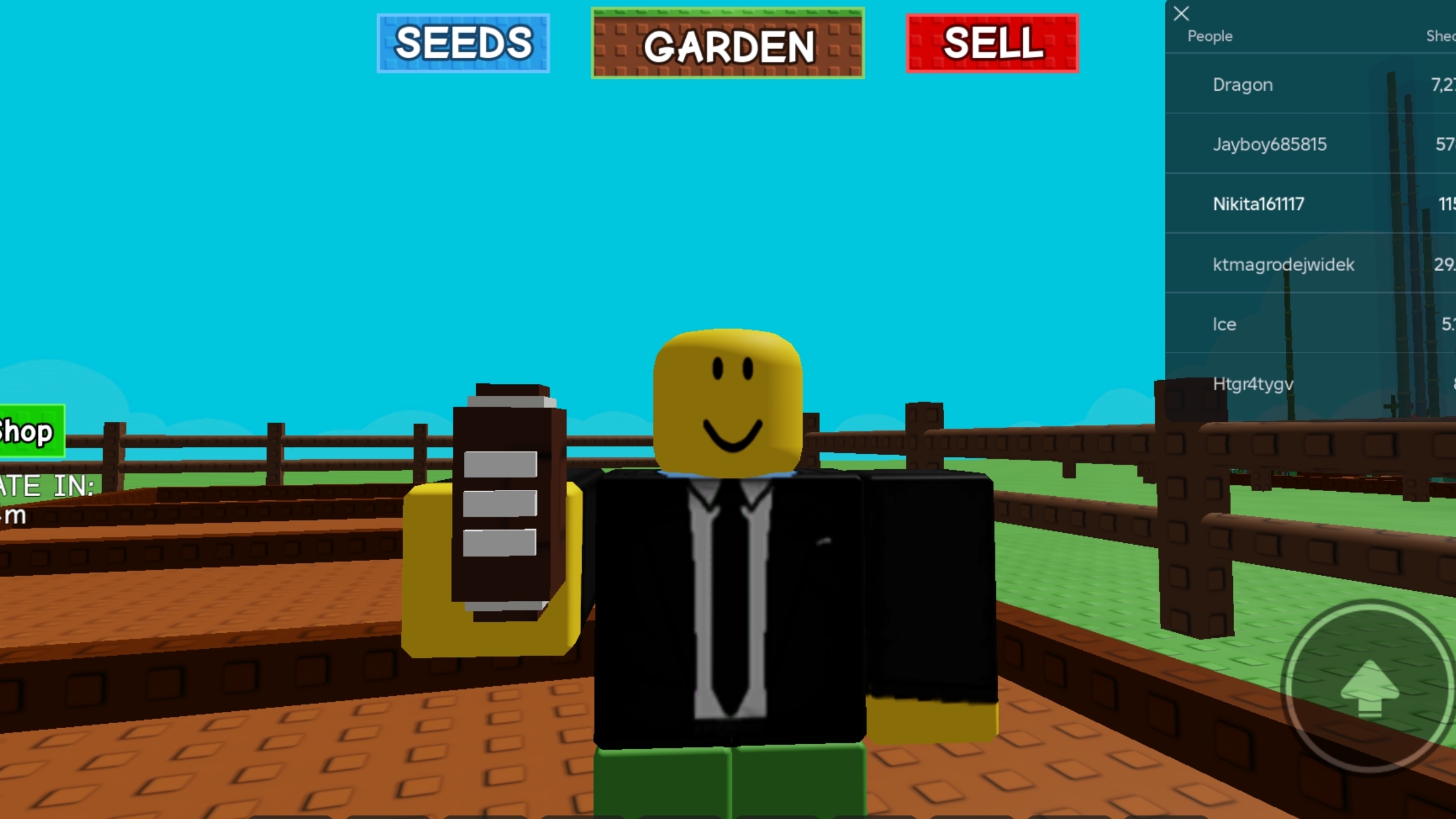 МЫ НЕ ДЕЛАЛИ ТРАНЦИЛЯЦИЮ