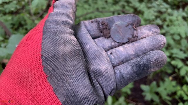 Жаль эти средневековые находки. Коп с Garrett Vortex