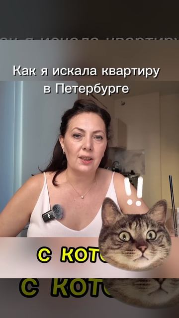 Снять квартиру в Питере. С кошкой.