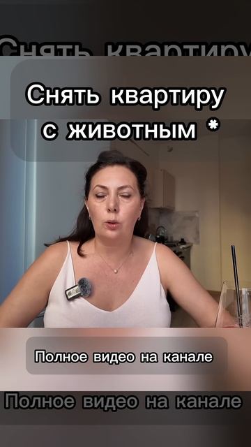 Аренда  квартиры  в Питере с животным. Честно рассказываю о своем опыте поиска жилья