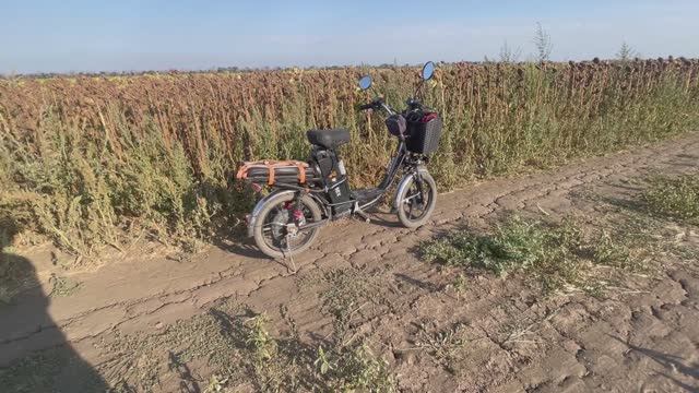 Электровелосипед  WENBOX.  Проехал уже 5000км. Поделюсь впечатлениями.