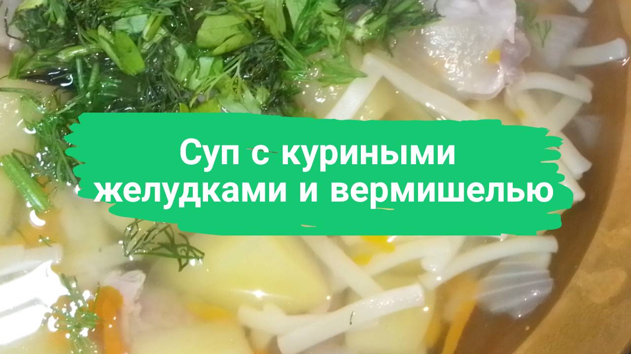Суп с куриными желудками и вермишелью