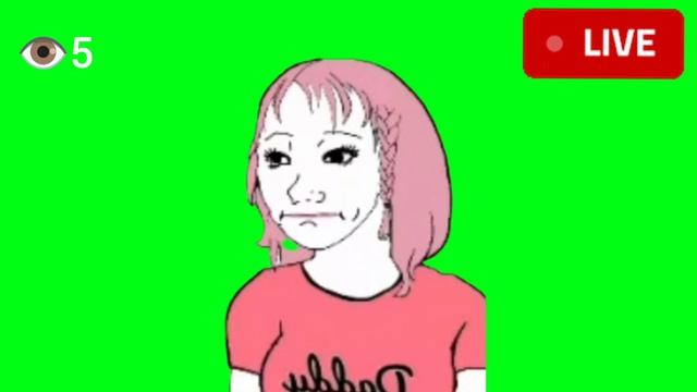 POV: та самая стримерша с 1 подписчиком