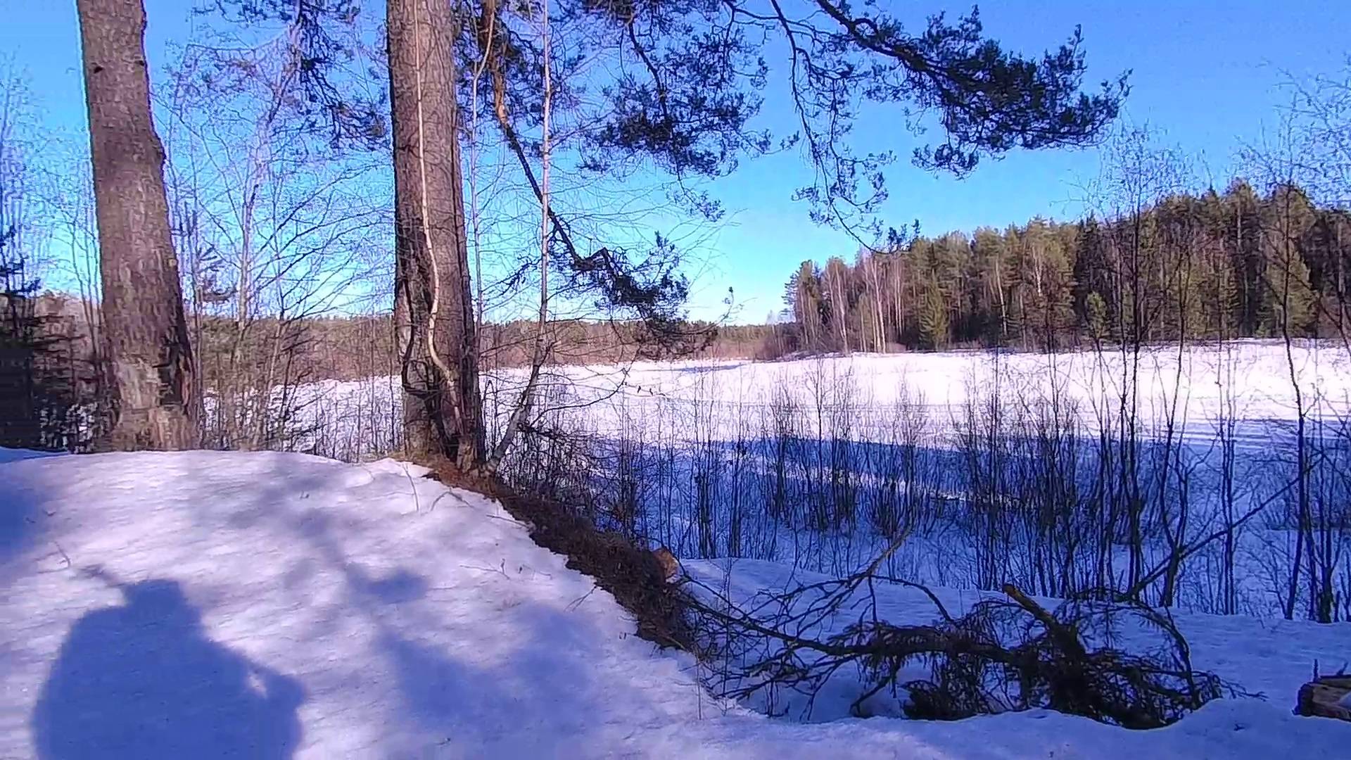 РЫБАЛКА С СЕРГЕЕМ НА ЗАТОНЕ ВЯТКИ В МАРТЕ 2025Г.