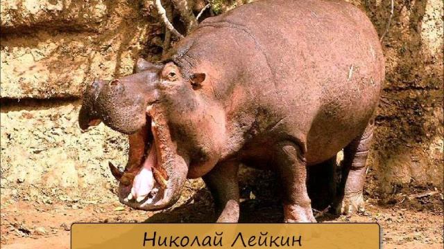 НИКОЛАЙ ЛЕЙКИН - "ОКОЛО БЕГЕМОТА И НОСОРОГА"