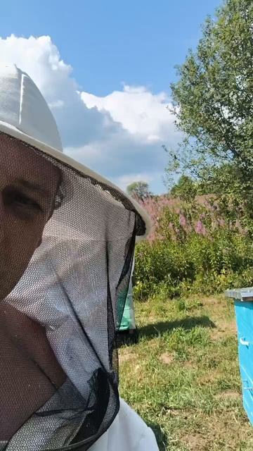 работаю на пасеке