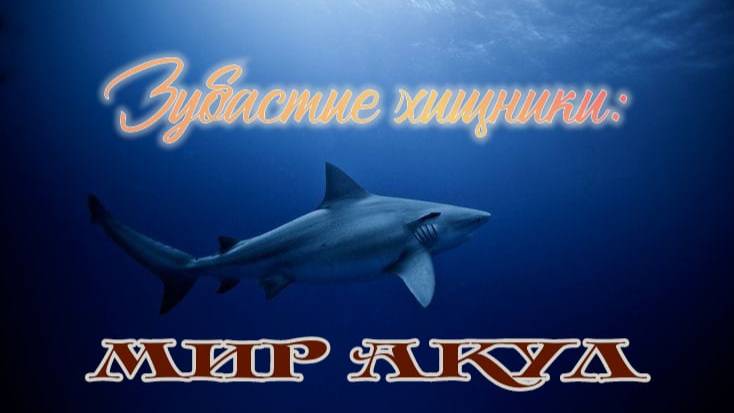 Зубастые хищники : Мир акул