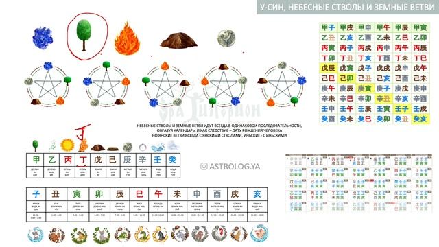 ЗАНЯТИЕ 1 УСИН, НЕБЕСНЫЕ СТВОЛЫ И ЗЕМНЫЕ ВЕТВИ.