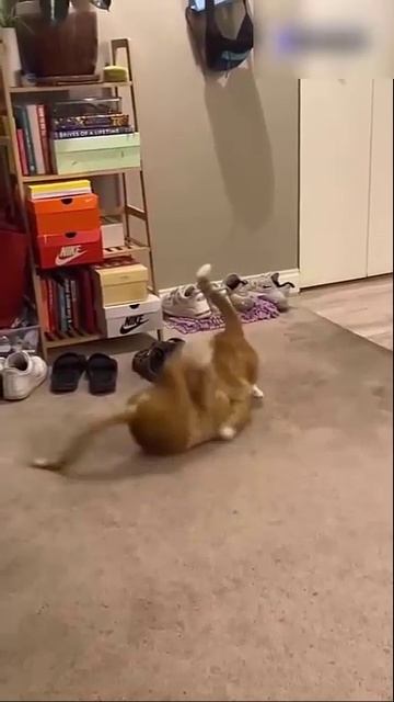 Это настоящая борьба