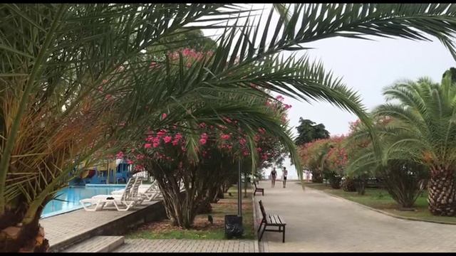 Абхазия, август 2025 года. Отель и сервис.