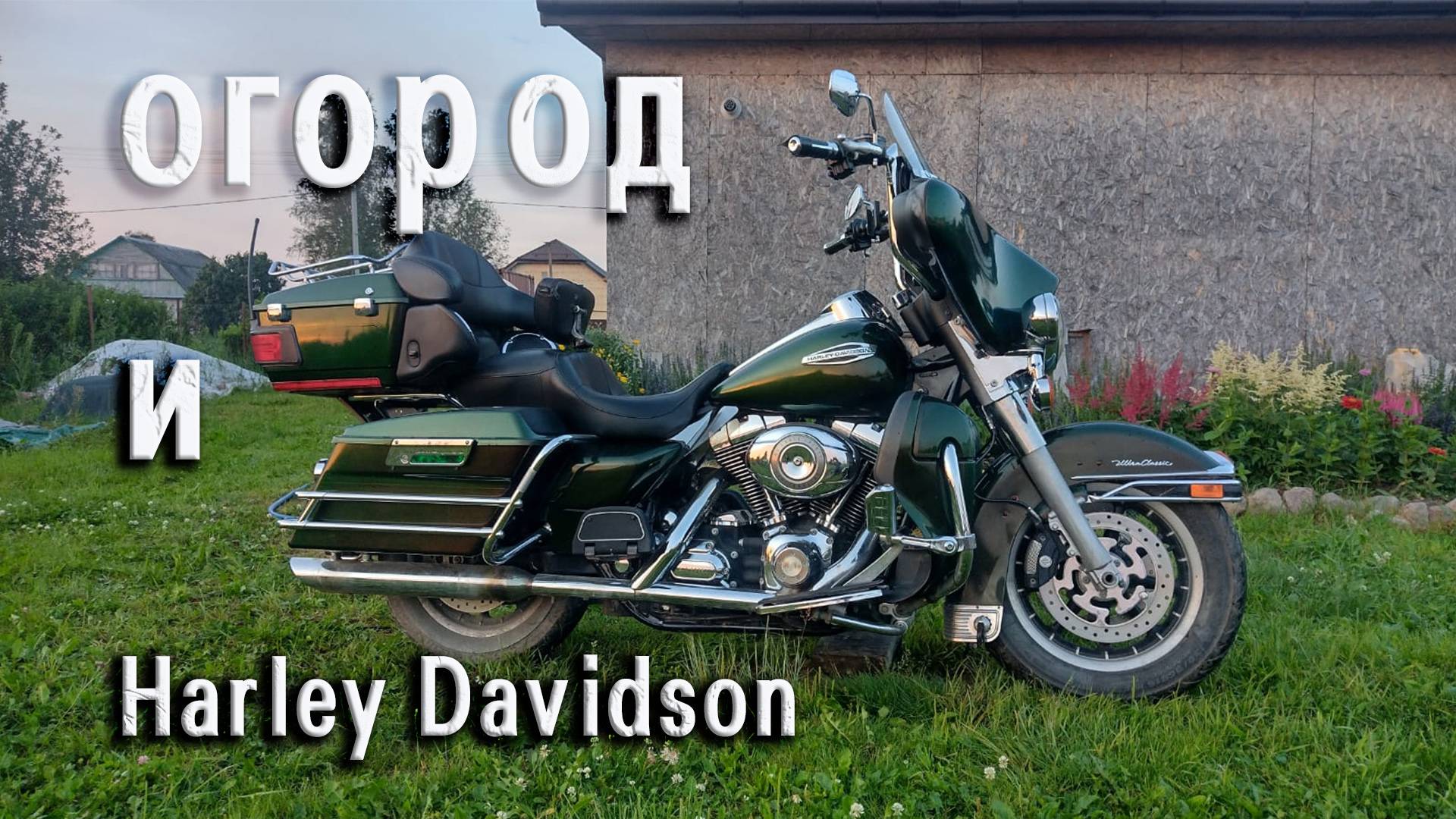 Harley Davidson и огород