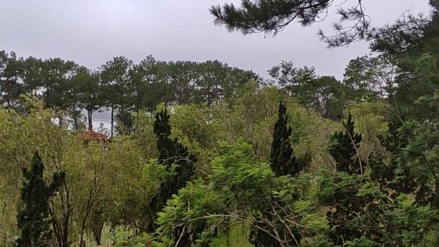 Буддийский храм в Далате