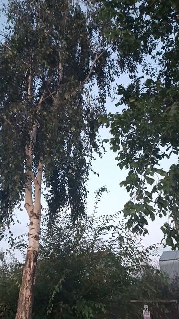 Взлет из заката Ту-160