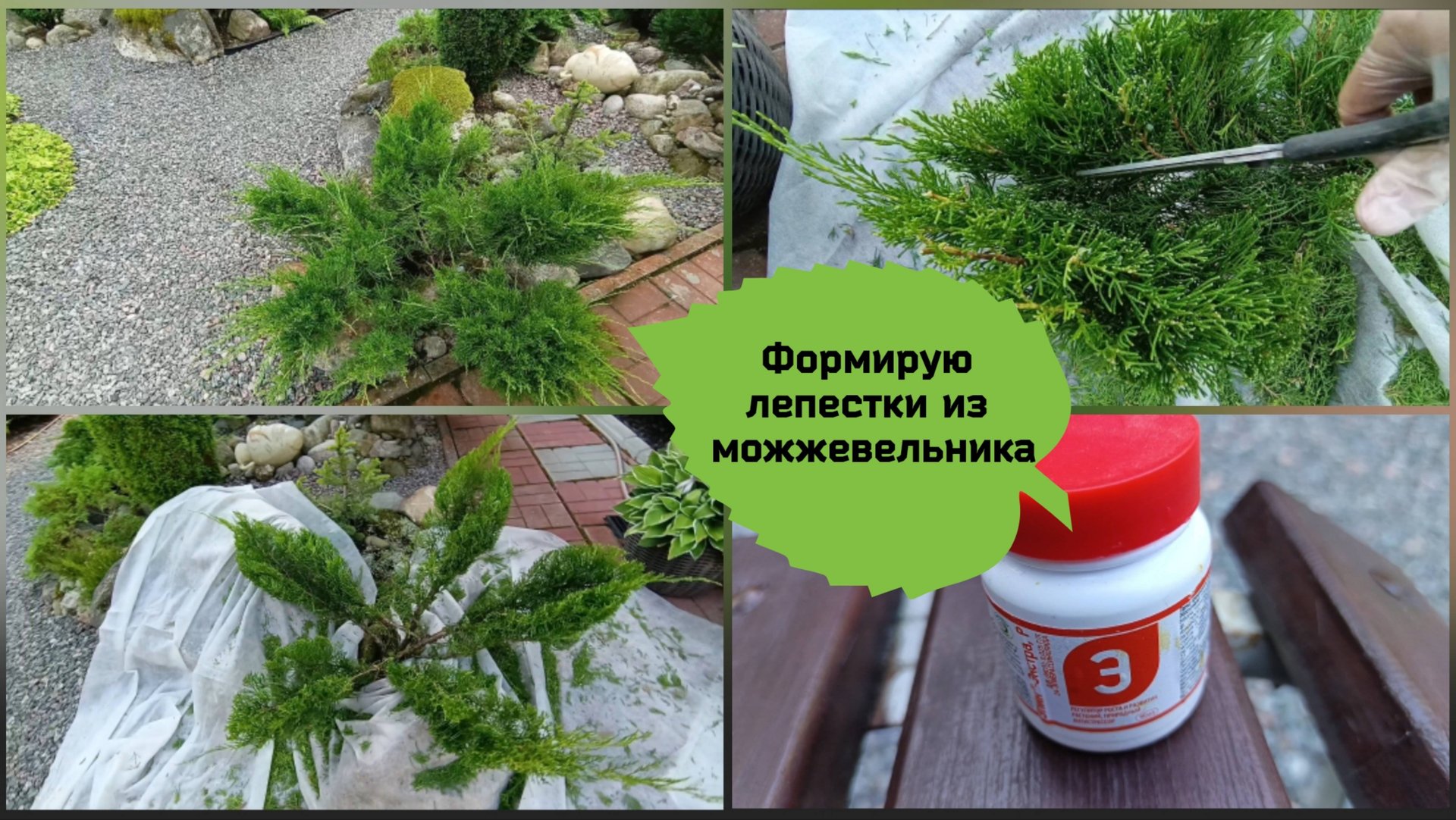 Формирую лепестки из можжевельника.