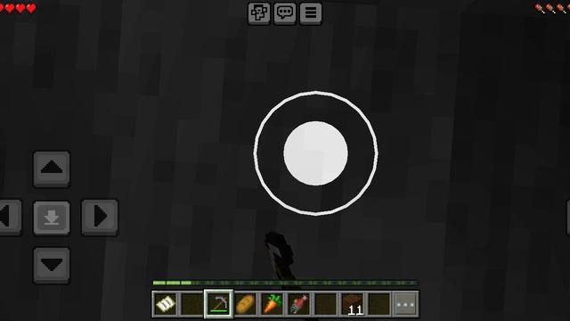 1000006068.mp4