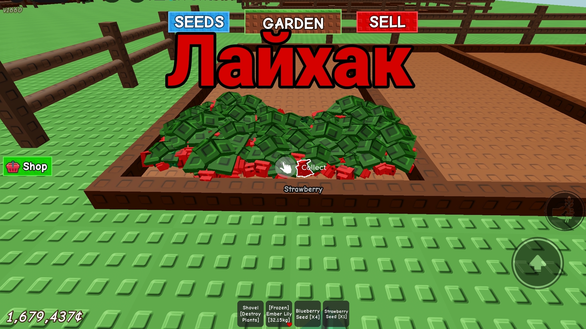 Лайхак в Вырасти сад 🌶️ в Роблокс