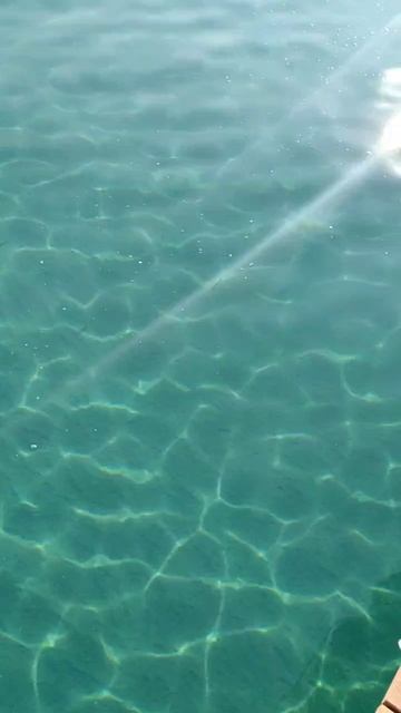 Club Hotel Sunbel Санбел Бельдиби, Кемер, Турция