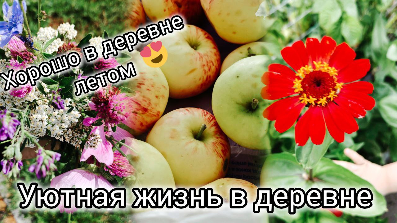 Счастливая и уютная жизнь в деревне, деревенские будни влог, уборка, летние прогулки, урожай огород
