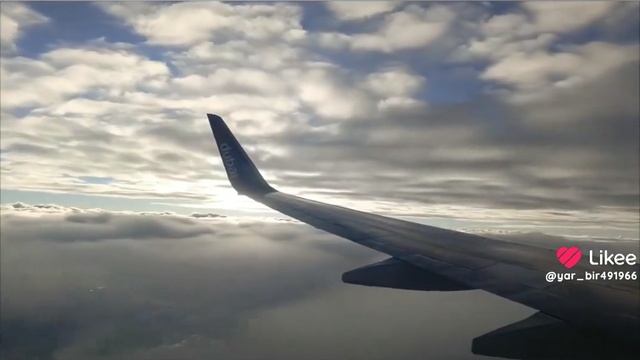 Oбъединенные Aрабские Эмираты
(Дубай,Шарджа)