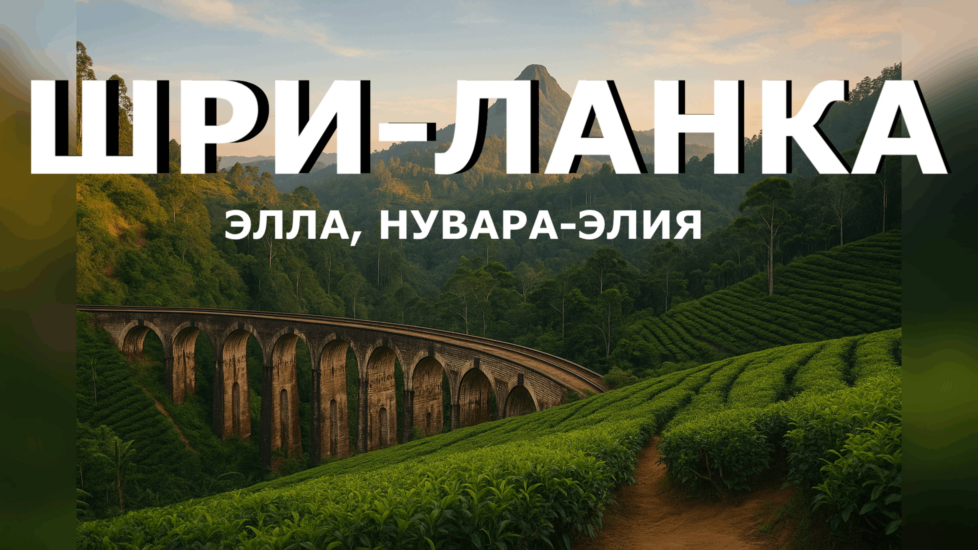 Шри-Ланка, часть 2. Настоящий чай на Шри-Ланке!