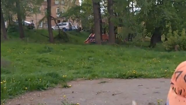 Шрек vs Гномы