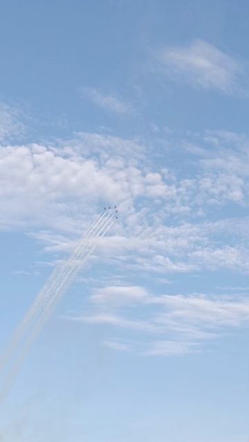 Я выбираю небо 2025: Пилотажная группа "Русь" на L-39