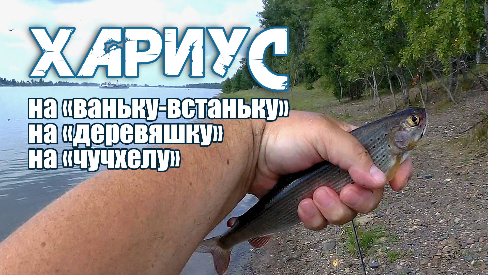 Хариус на "ваньку-встаньку", на "деревяшку", на "чучхелу"...
