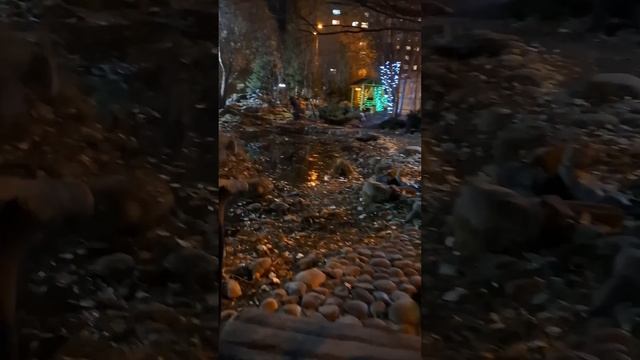 Парк Топиарного Искусства. Сады Мечты. г.Абакан. Хакасия.