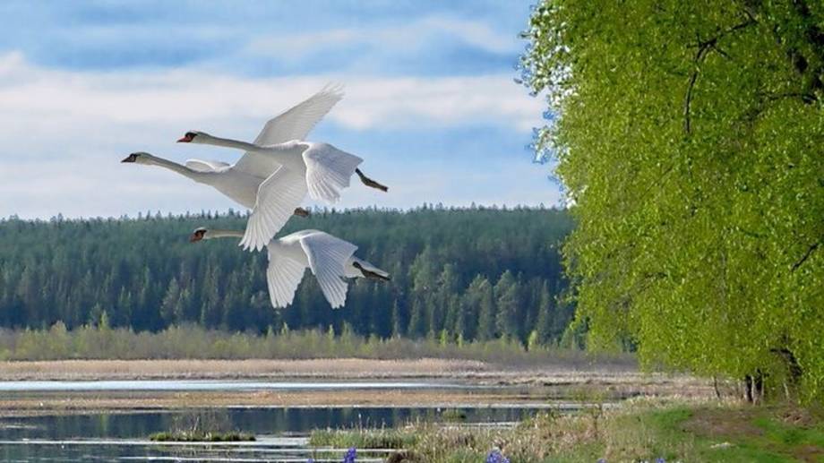 Вадим Утемесов – Возвращение со звёзд (2025, AI SUNO)