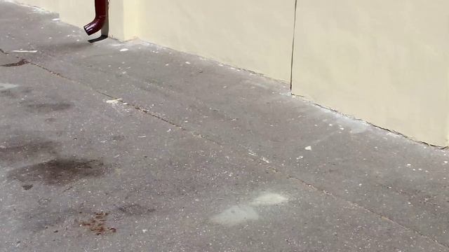 Конный клуб на шоссе энтузиастов. Очень интересное место где живут красивые домашние лошади.