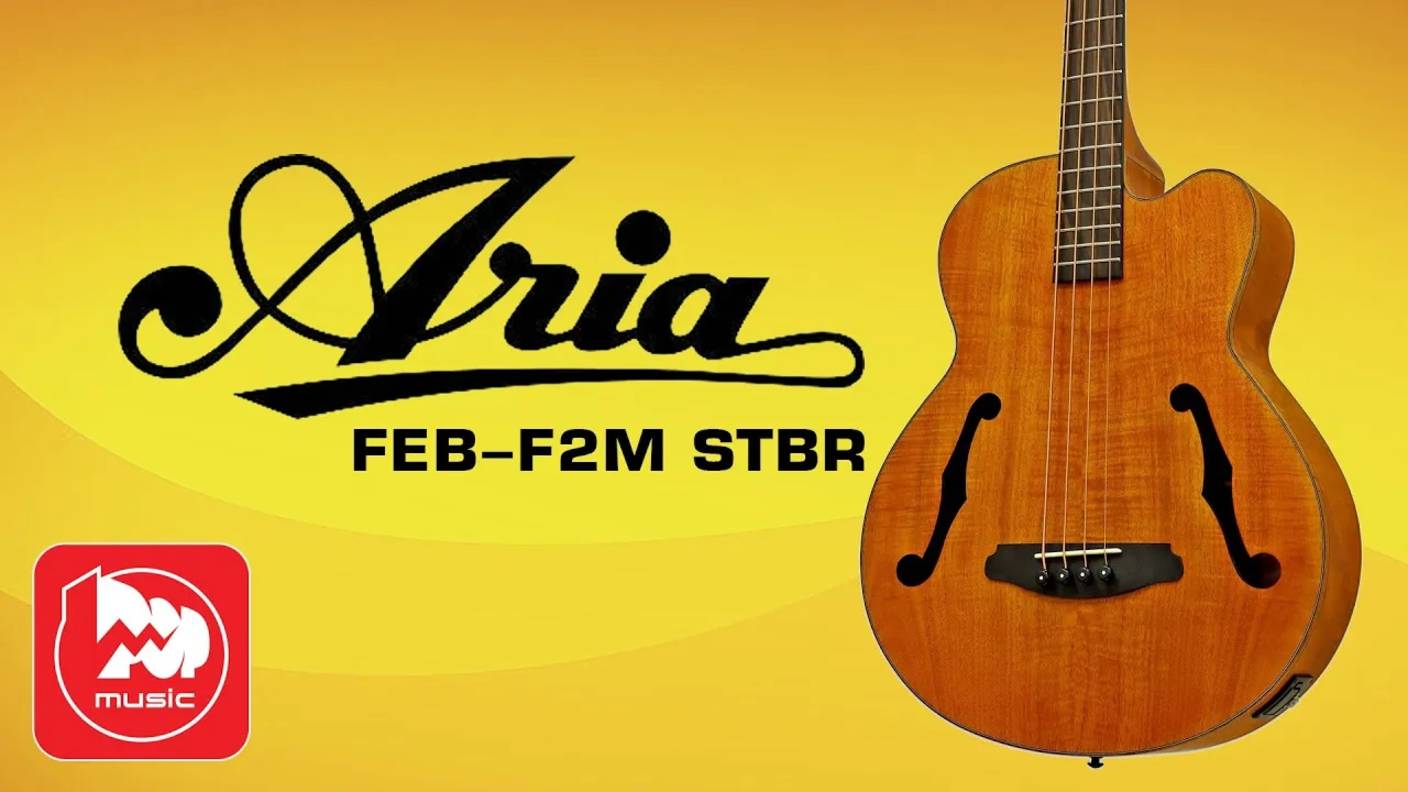 Электроакустический бас ARIA FEB-F2M