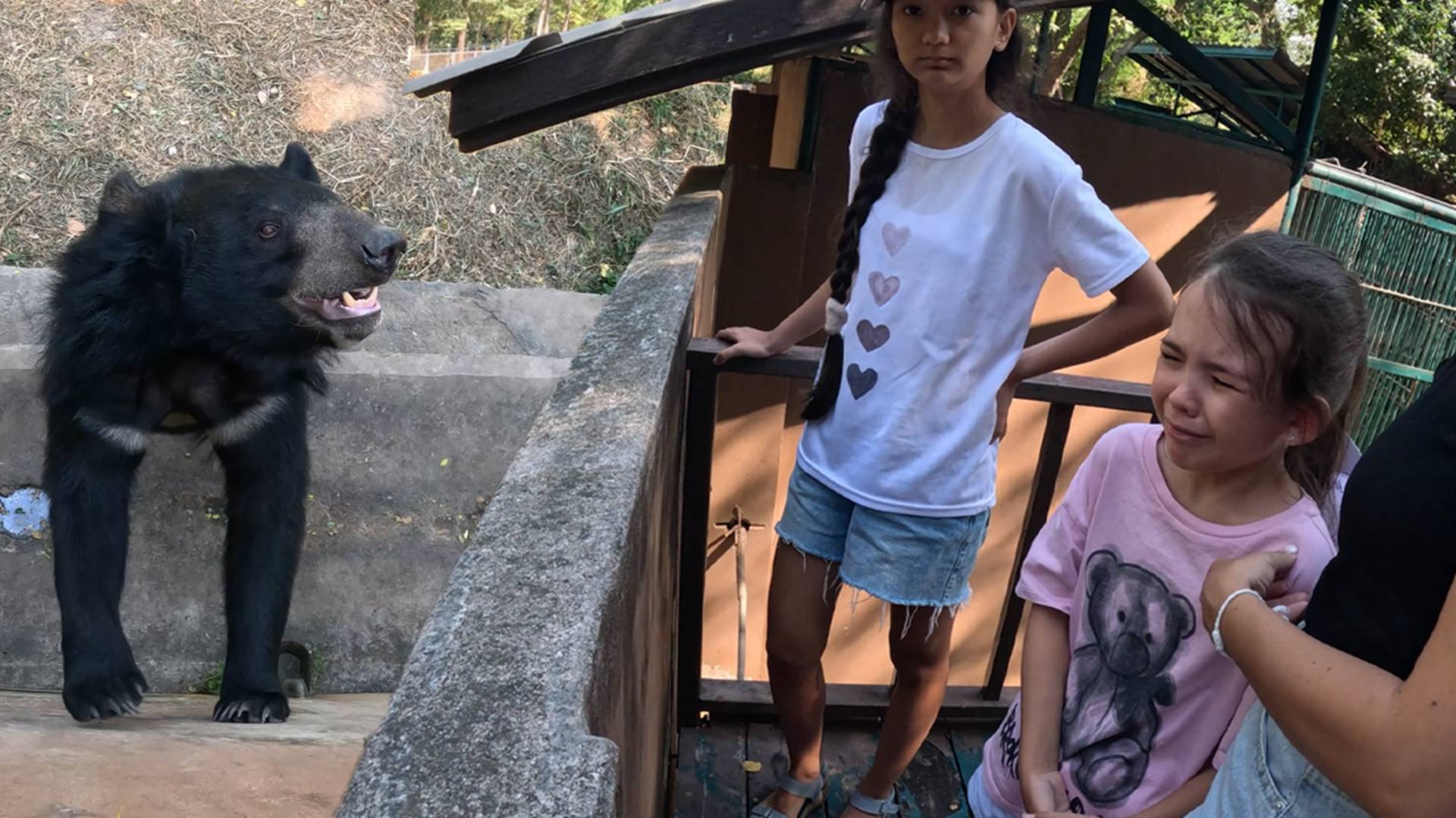 Таиланд. Паттайя. Зоопарк о котором никто не знает.