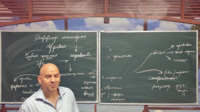 Дифференциация мононорм