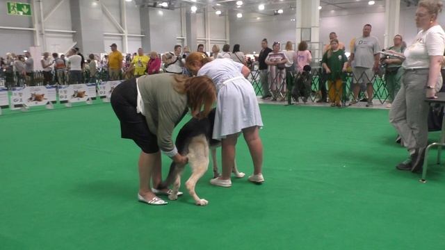 Орбелий Повелитель Грез