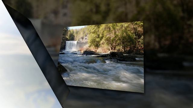 Ты куда течёшь река